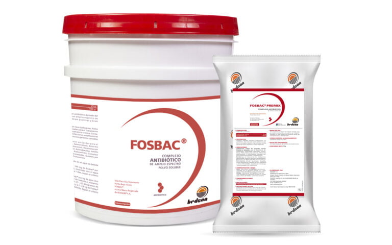 División Porcícola – Bedson S.A.