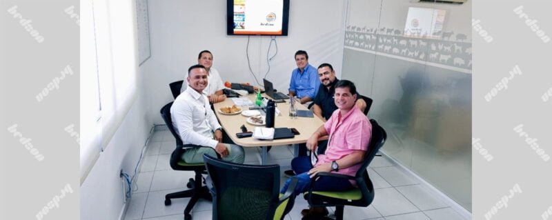 Novedades – Bedson S.A.